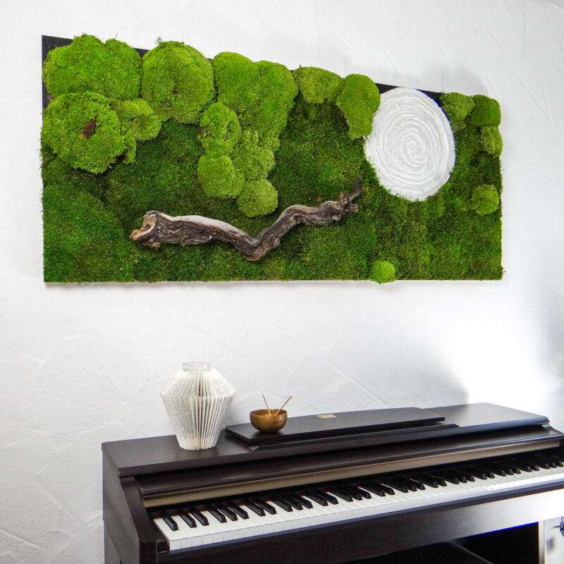 Unsere Moosbilder - moosraum